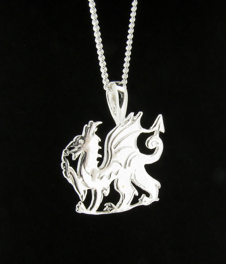 Sterling Silver Welsh Dragon Pendant & Chain Necklace Draco - Etsy UK