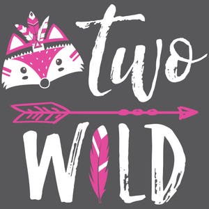 Two Wild Second Birthday Shirt, Kids Gift - Etsy
