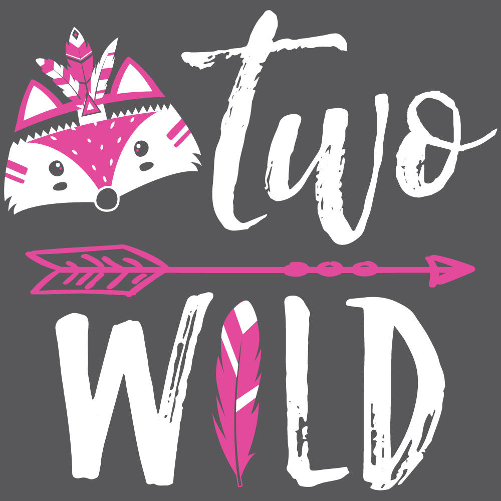 Two Wild Second Birthday Shirt Kids Gift - Etsy