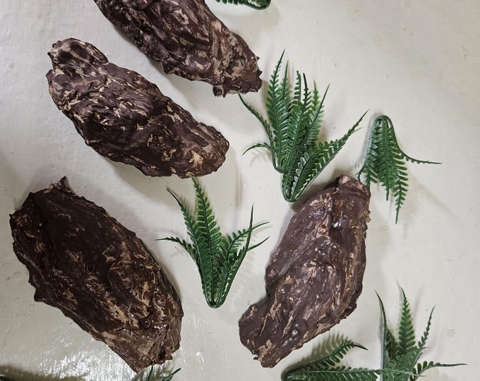 Mini Ferns 12 and 4 Paper Mache Rocks - Etsy