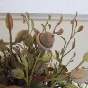 Miniature Doll/dollhouse 12 1/2h Acorn Tree/real Wood Trunk/tiny Real ...