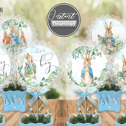Peter Rabbit Centerpieces Baby Shower Centerpiece Little - Etsy