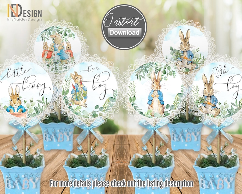 Peter Rabbit Centerpieces, Baby Shower Centerpiece, Little Bunny, Cake ...