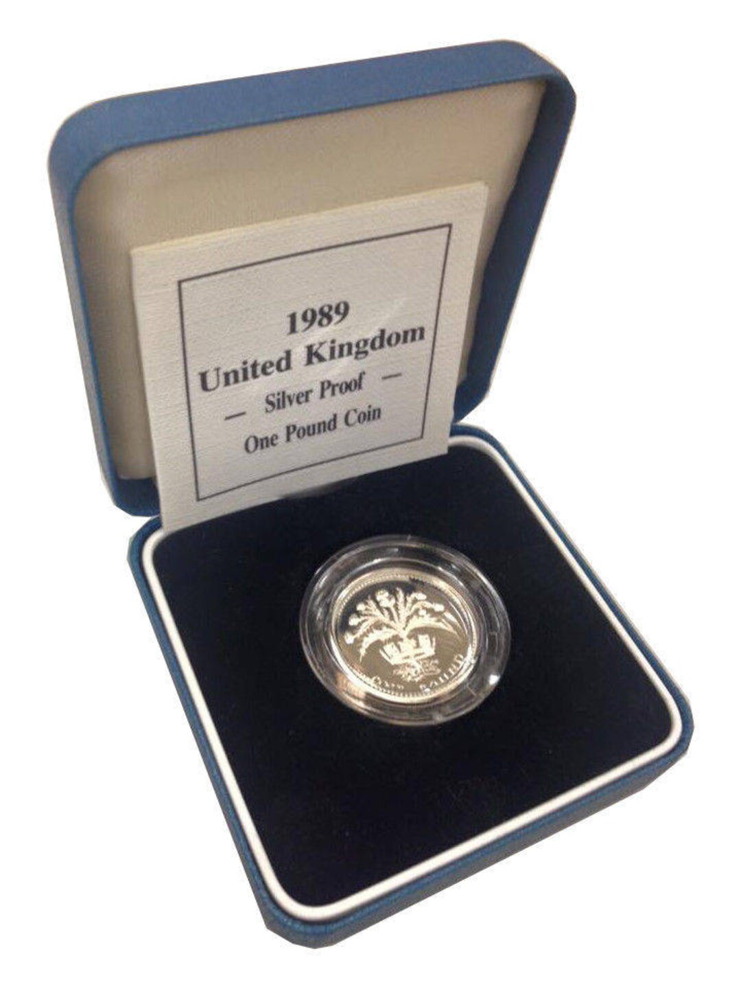 1989 Silver Proof One Pound Coin - Etsy