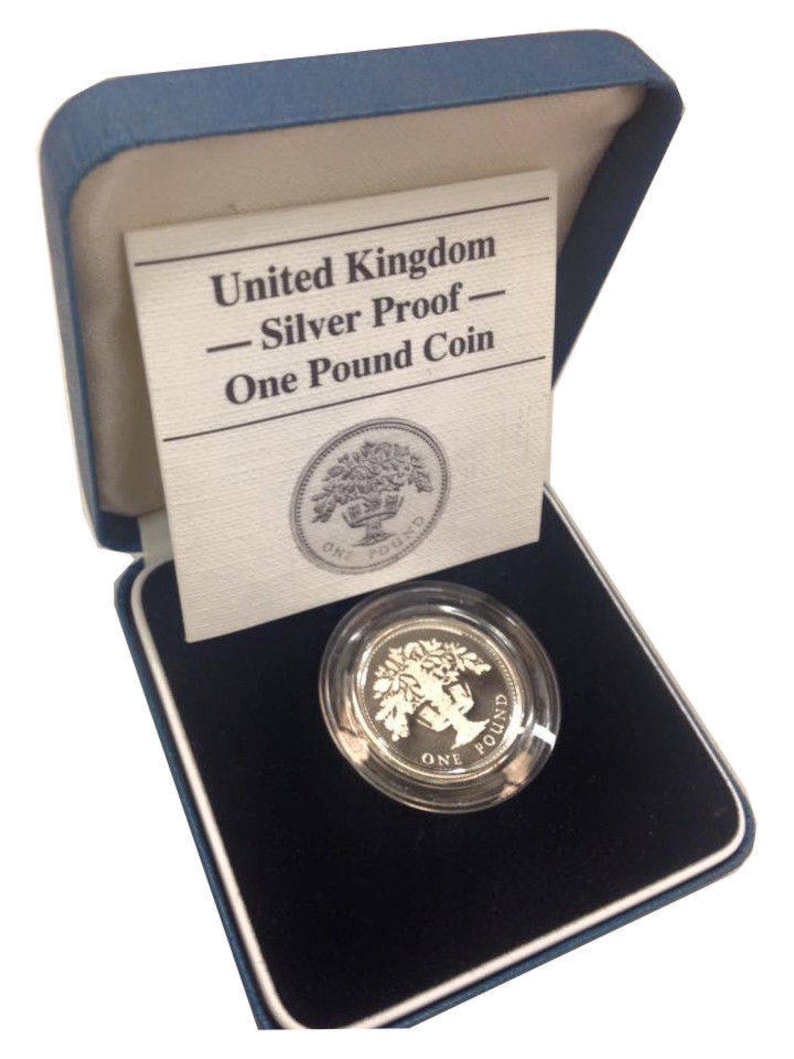 1987 Silver Proof One Pound Coin - Etsy UK