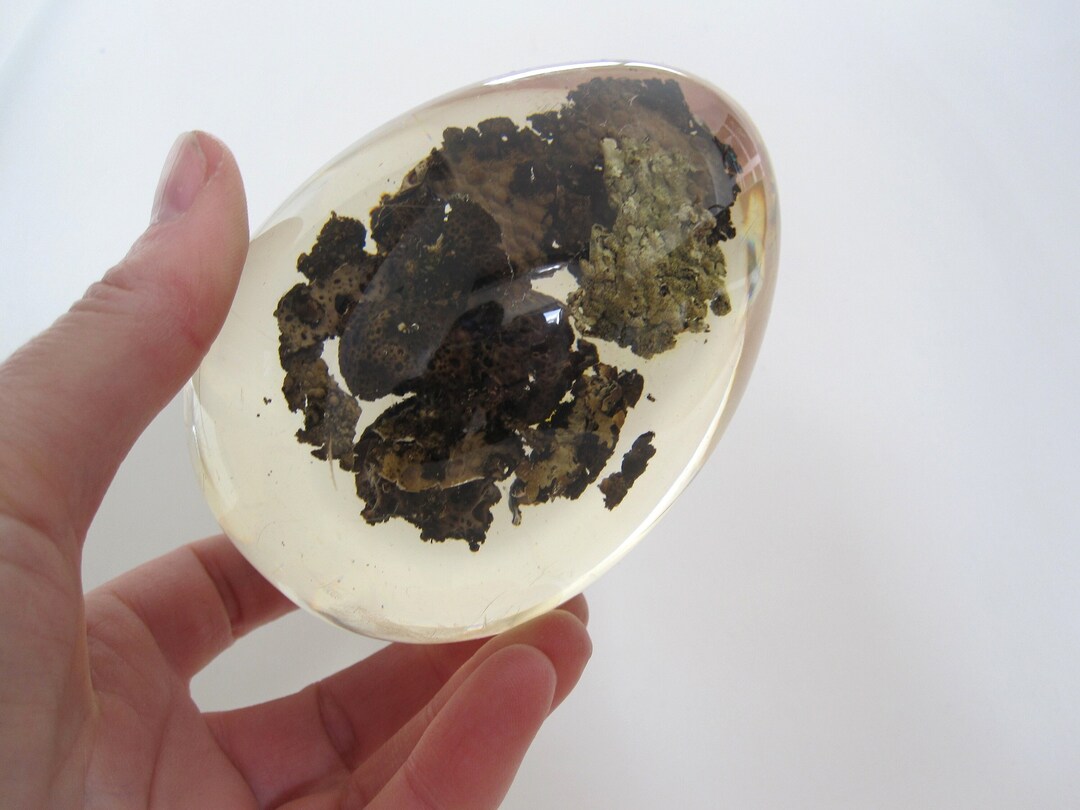 Pierre GIRAUDON Lucite Egg, Inclusion in Resin With Tree Bark 1970 ...