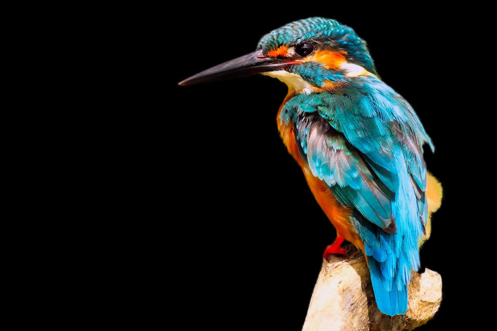 String Art Mirror Threads Geometry Unique Frame Abstract Art for Your ...