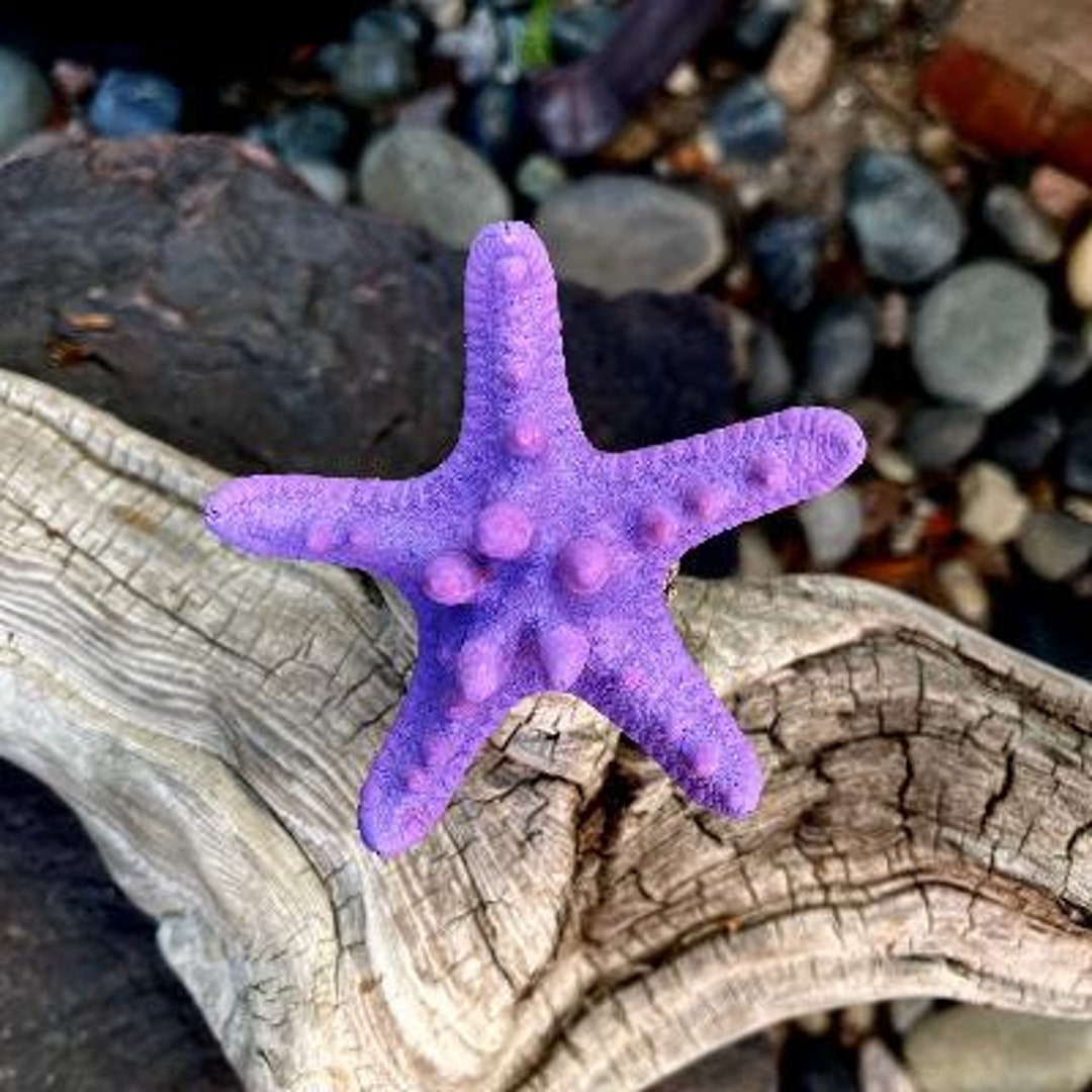 Mermaid Ariel Purple Starfish Hair Clip - Etsy.de
