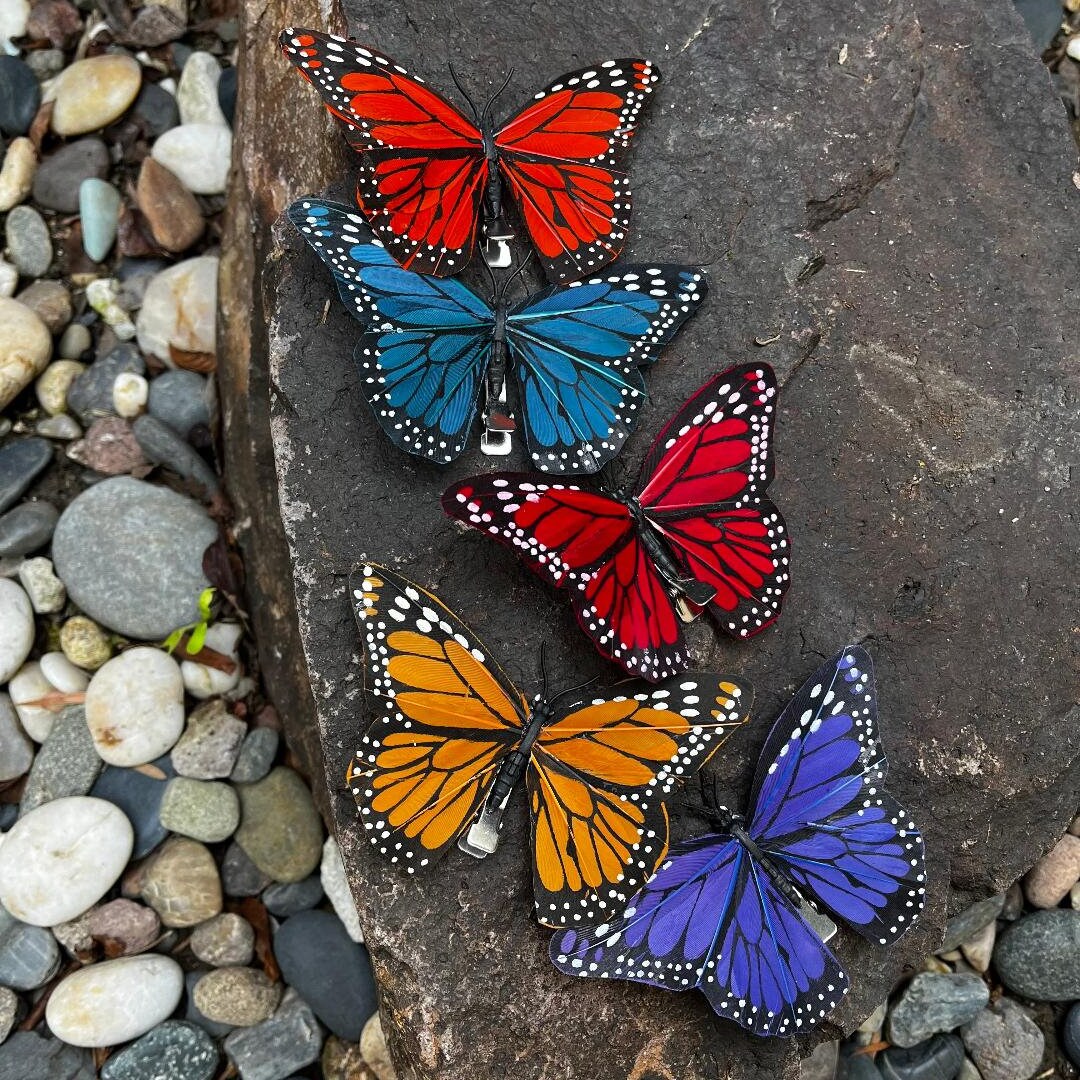 Monarch Large Butterfly Clips - Set of Five - Etsy