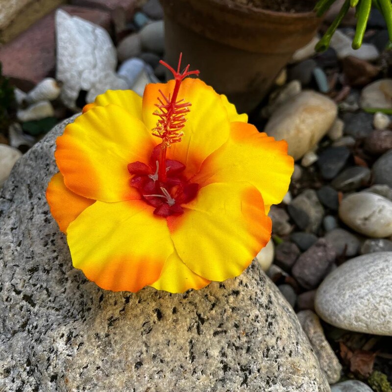 Orange Hair Clips - Etsy
