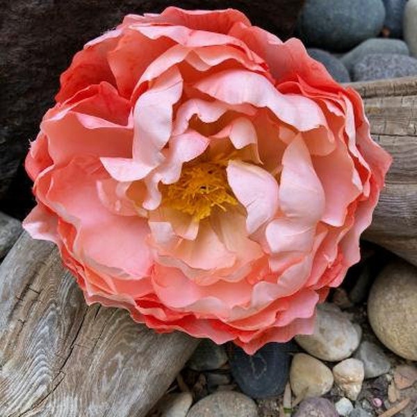 Peach Peony - Etsy
