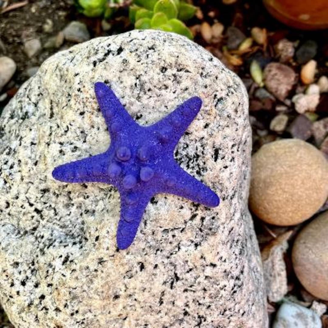 Mermaid , Ariel, Deep Purple Starfish Hair Clip - Etsy