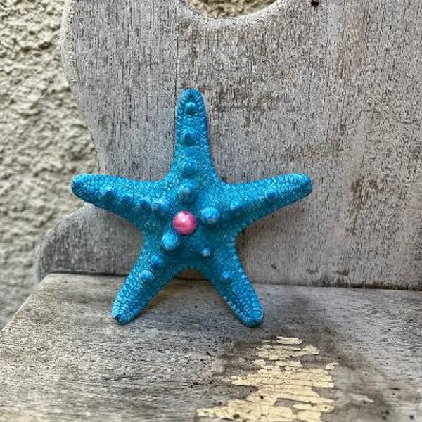Turquoise Starfish - Etsy