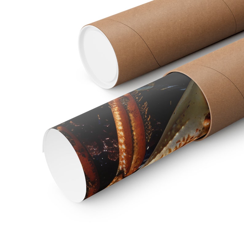 Canal Crab Matte Vertical Poster - Etsy