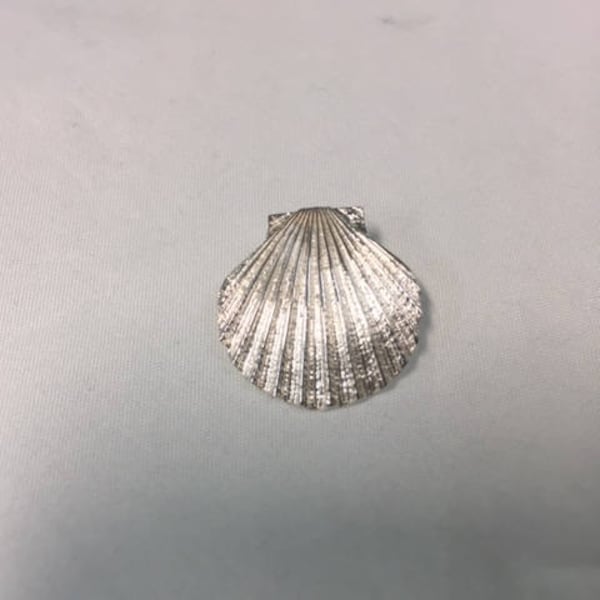 Scallop Shell Pendants - Etsy