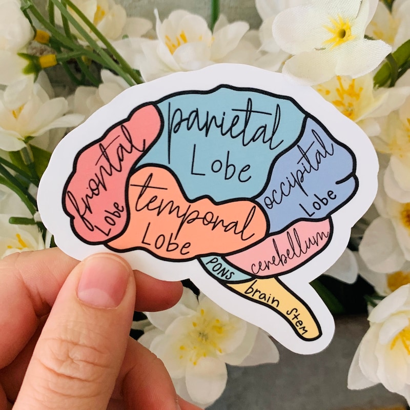 Cute Psychology Stickers - Etsy