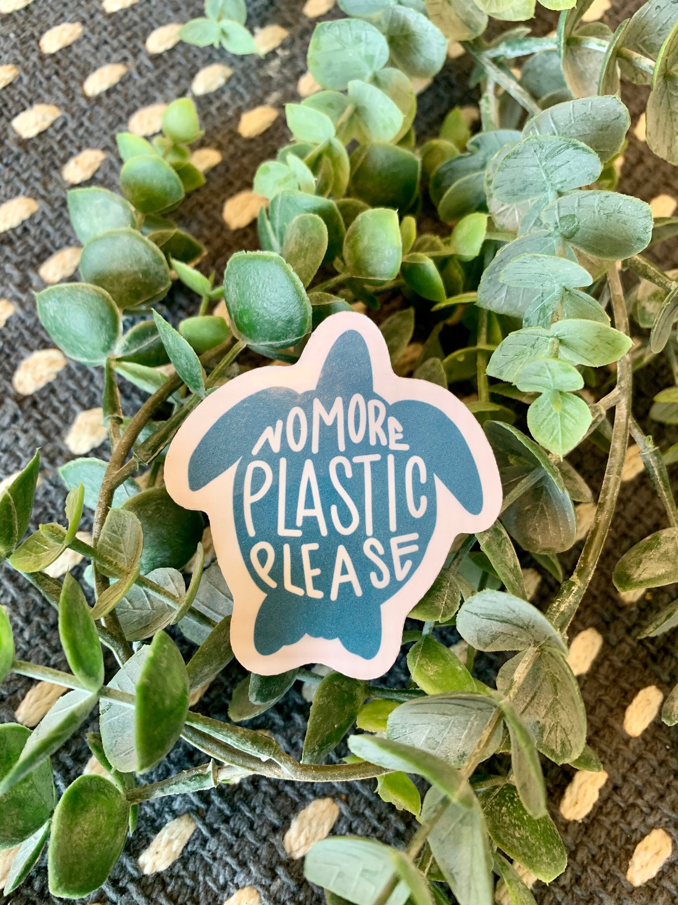 No More Plastic Vinyl Sticker Best Friend Gift Trendy - Etsy