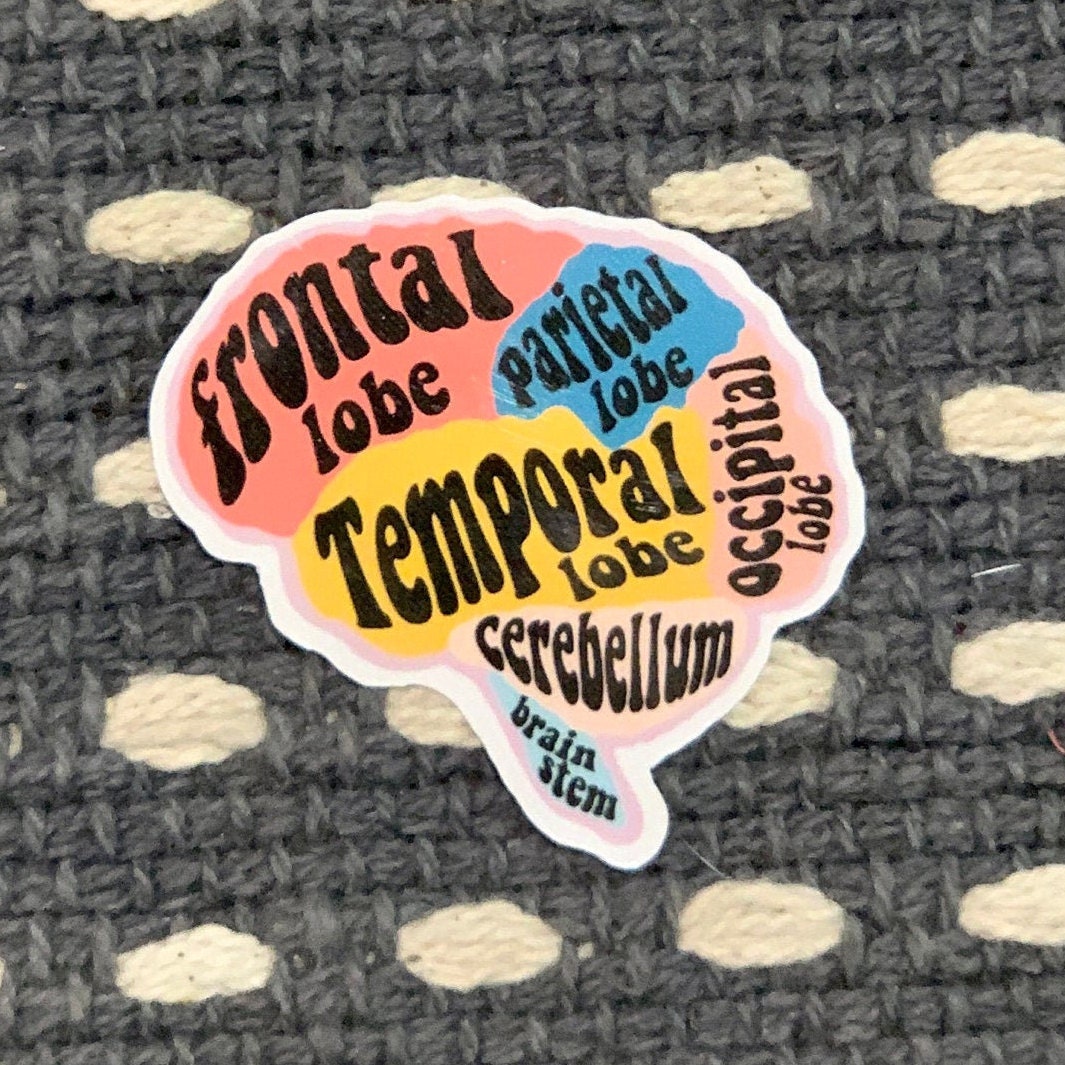 Brain Sticker Neuroscience Psychology Brain Anatomy | Etsy