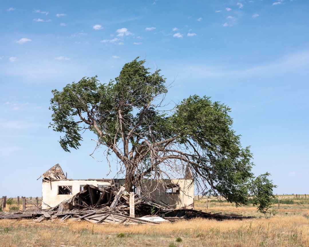 Abandoned Farm Bledsoe Tx 10x8 14x11 or 20x16 Archival - Etsy