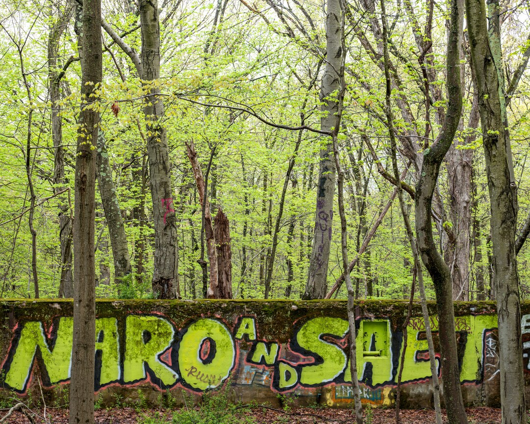 Naro y Saet Túneles de Tweed Graffiti en bosques de los suburbios de Nueva York Arte de pared ...