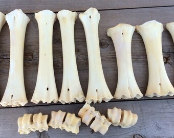 Bison bones | Etsy