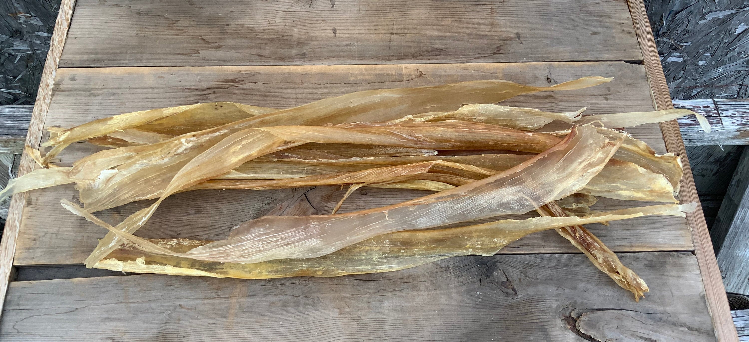 5 Deer Backstrap Sinew Authentic 14-16 | Etsy
