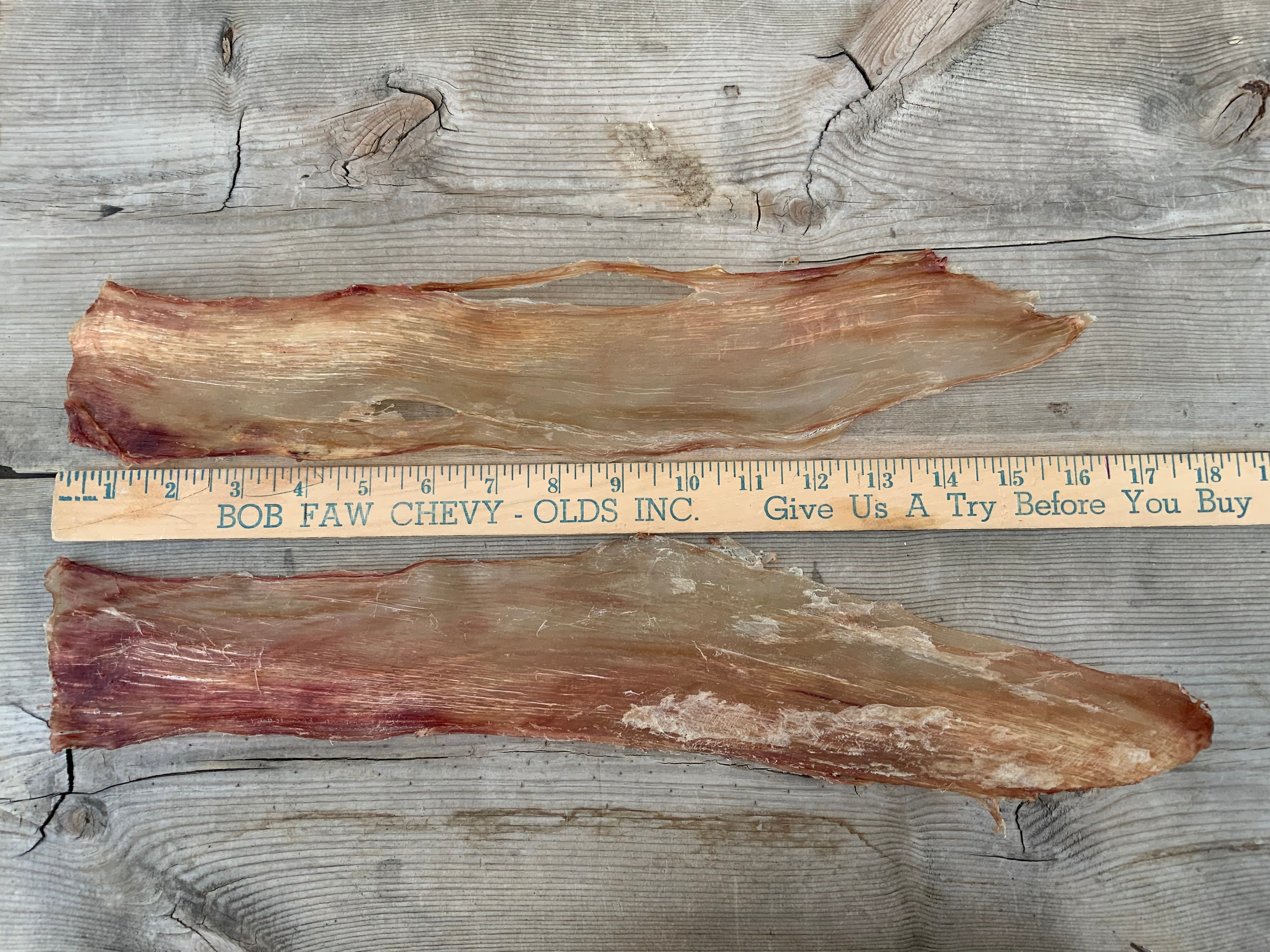 2 Elk Backstrap Sinew Authentic 15-17” - Etsy