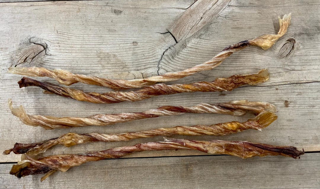 5 Authentic Elk Leg Tendons Dog Chew Sinew Twisted - Etsy