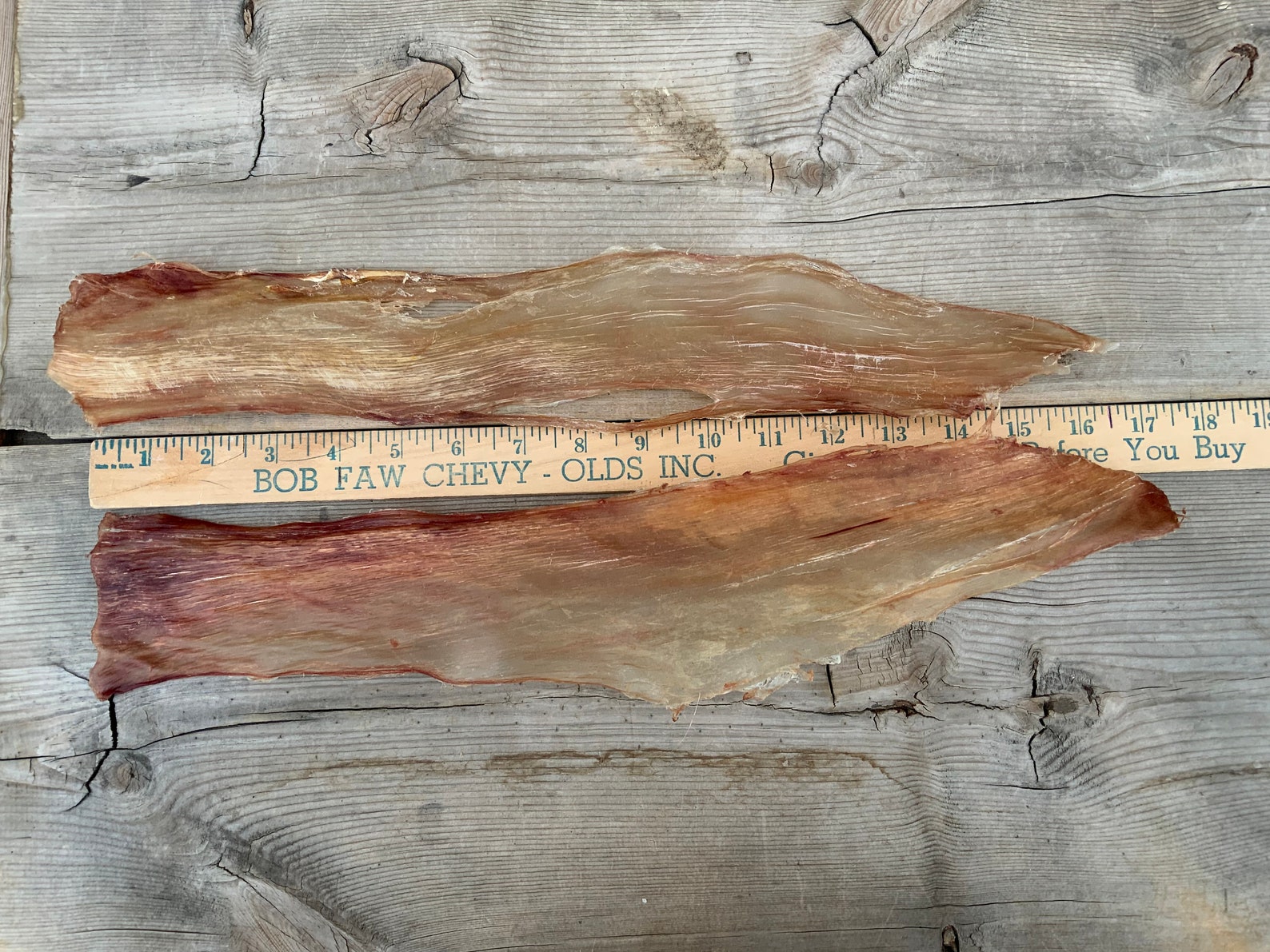 2 Elk Backstrap Sinew Authentic 15-17” - Etsy