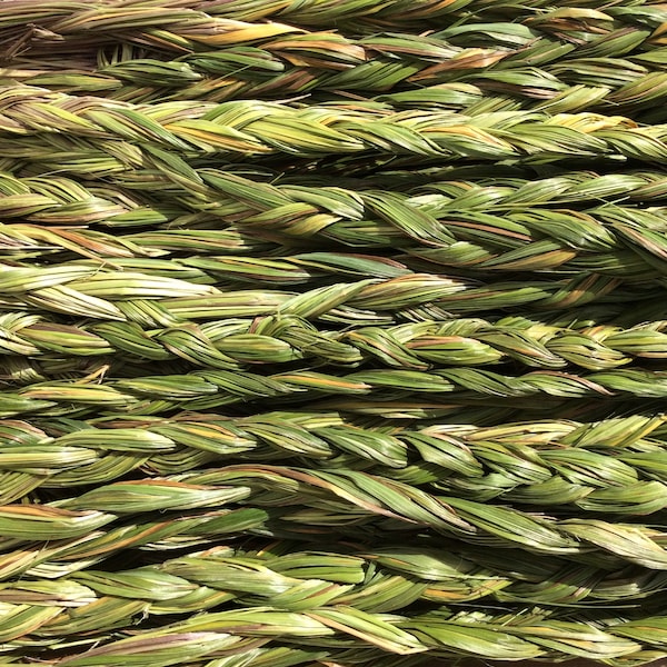 Sweetgrass Braid - Etsy