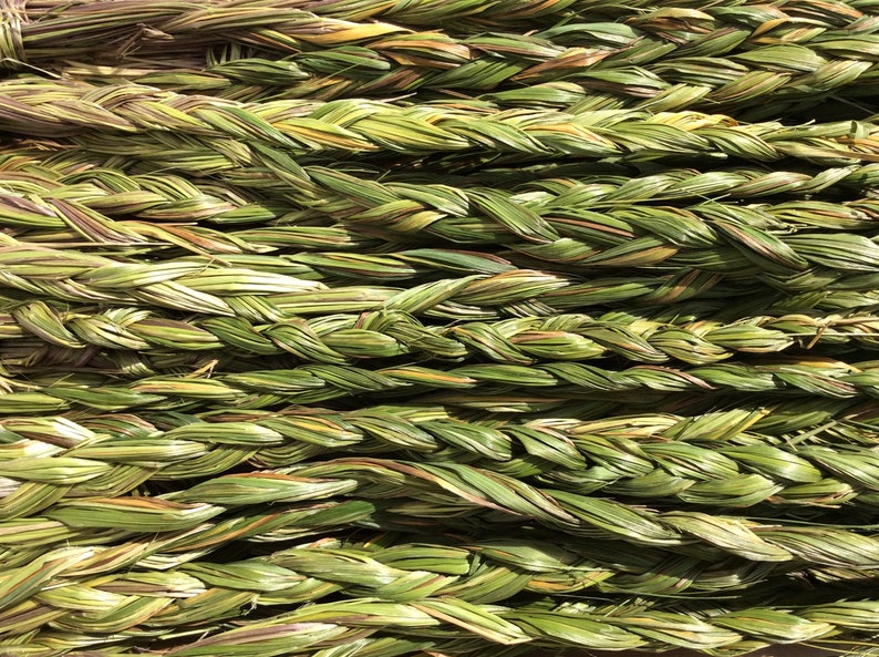 1 Sweetgrass Braid 18-24” Hierochloe Odorata Smudge - Etsy