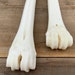 2 Deer Leg Cannon Bones Metacarpal Metatarsal - Etsy