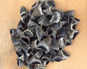 100 Deer Hooves Toes Crafts - Etsy