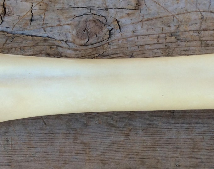 Buffalo Bison Leg Bone Metatarsal Metacarpal Cannon Leg Bone Knife ...