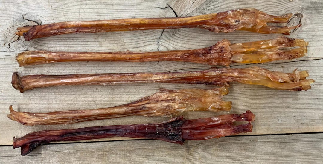 5 Authentic Elk Wapiti Leg Tendons Sinew - Etsy