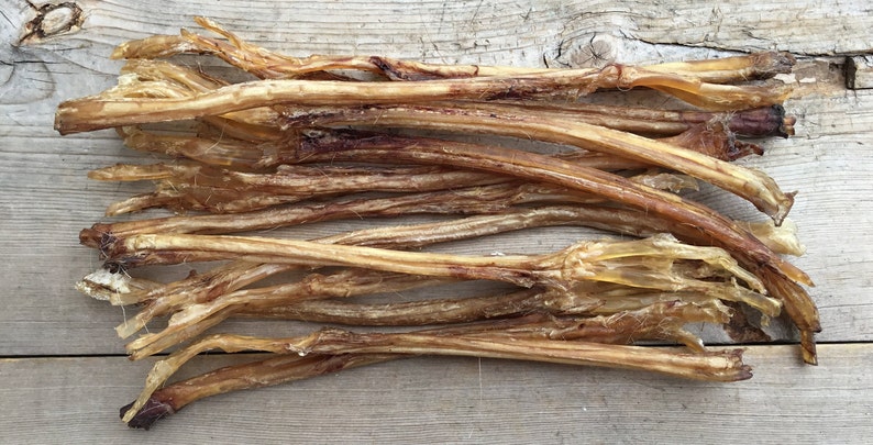 10 Authentic Deer Leg Tendon Sinew - Etsy