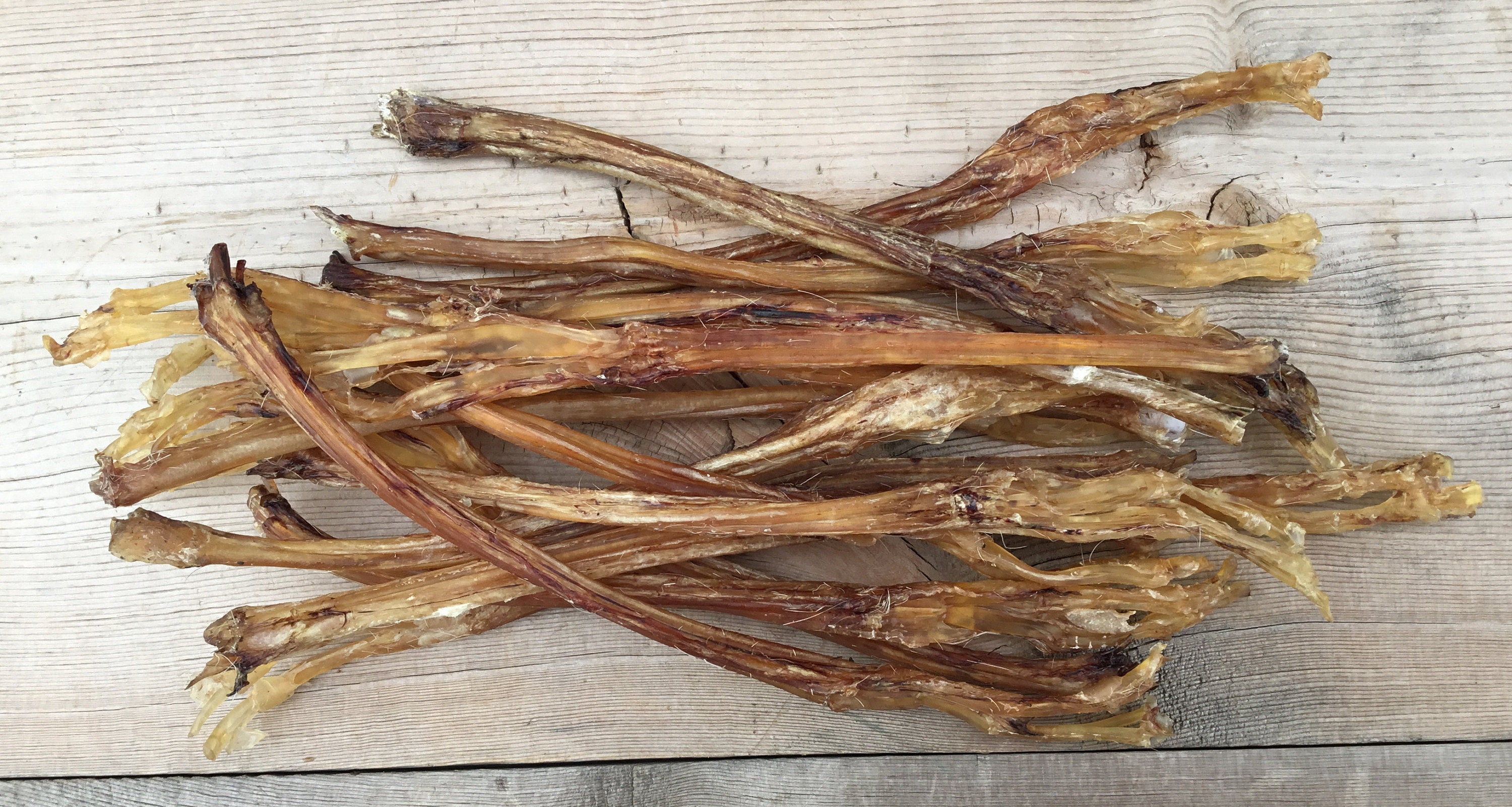 10 Authentic Deer Leg Tendon Sinew - Etsy