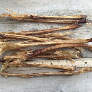 10 Authentic Deer Leg Tendon Sinew - Etsy