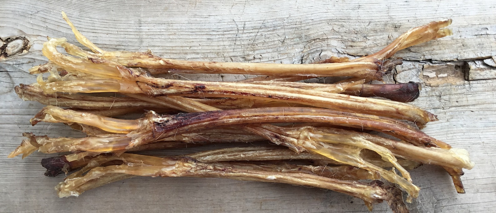 10 Authentic Deer Leg Tendon Dog Chews Sinew - Etsy