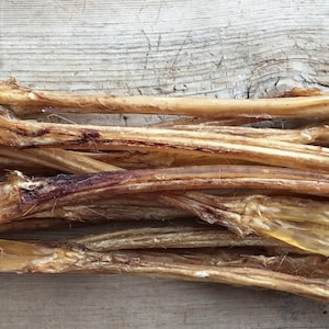 10 Authentic Deer Leg Tendon Sinew - Etsy