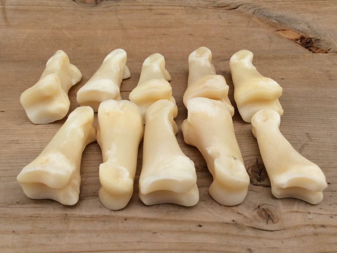 10 Deer First Phalanx Proximal Phalanx Bones Phalanges Knuckle Bones - Etsy