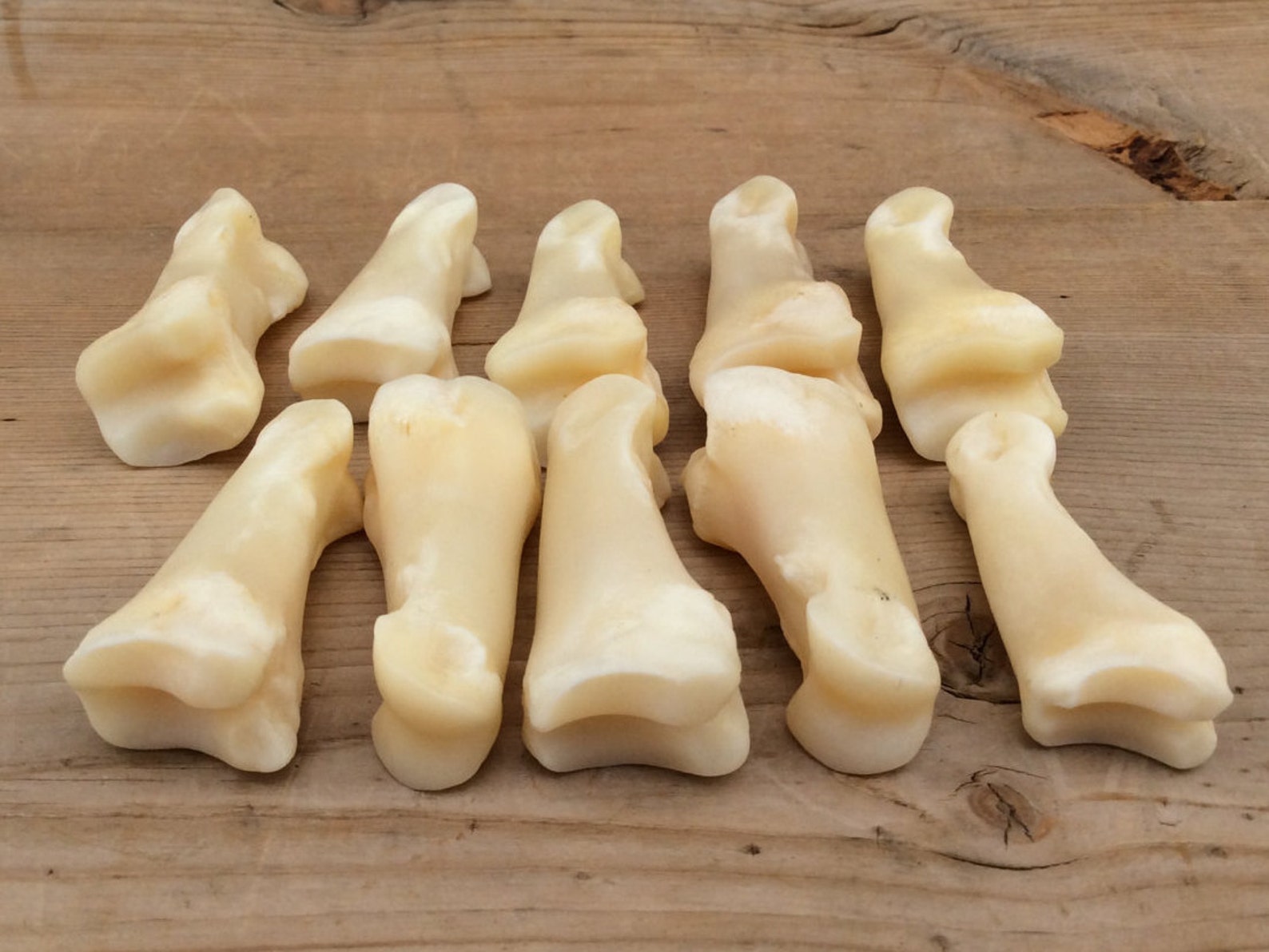 10 Deer First Phalanx Proximal Phalanx Bones Phalanges Knuckle Bones - Etsy