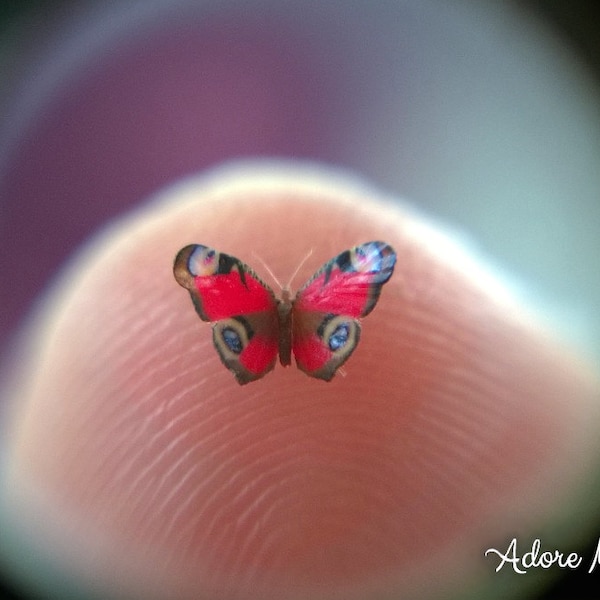 Miniature Butterfly - Etsy