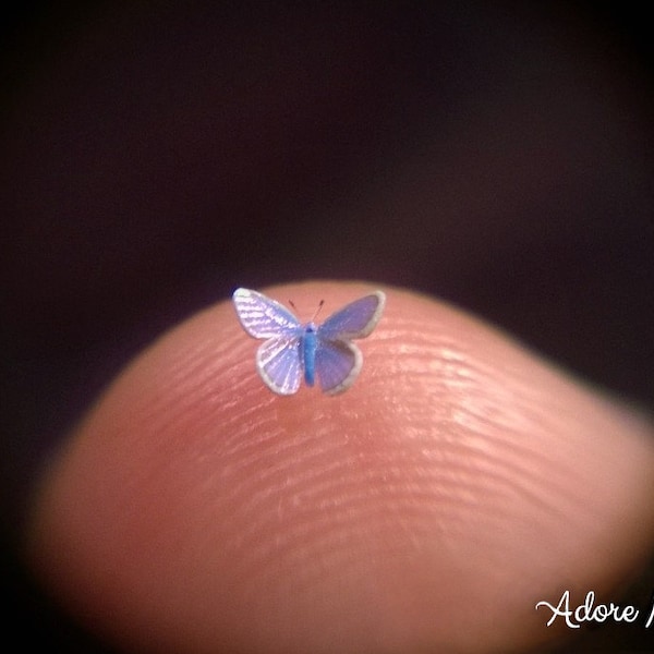 Micro Miniature - Etsy