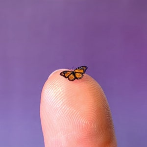 Monarch, Micro Miniature Butterfly, Danaus Plexippus, Dollhouse Scale ...