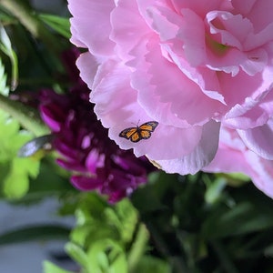 Monarch, Micro Miniature Butterfly, Danaus Plexippus, Dollhouse Scale ...