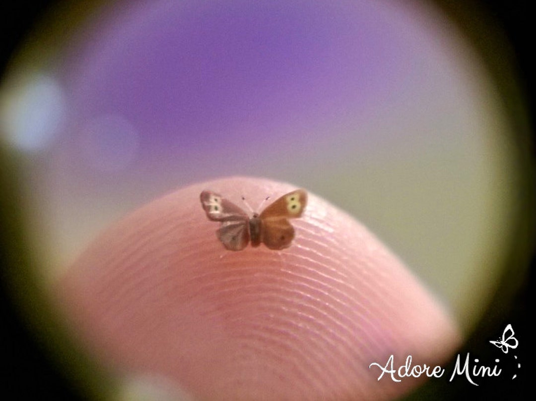 Common Wood Nymph, Micro Miniature Butterfly, Cercyonis Pegala ...