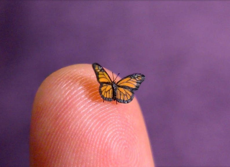 Monarch Micro Miniature Butterfly Danaus Plexippus | Etsy