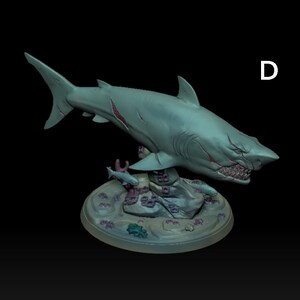 Sharks!! Hammer Head, Great White, Reef and Hunter - Sized Large or ...