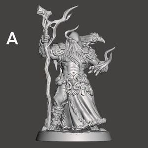 Odin With Raven ,medium Sized for DND - Etsy